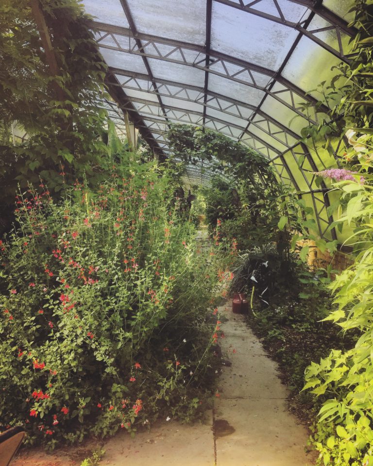 5ftinf | Tuesday…with Greenhouse Textures ( Part 1 )