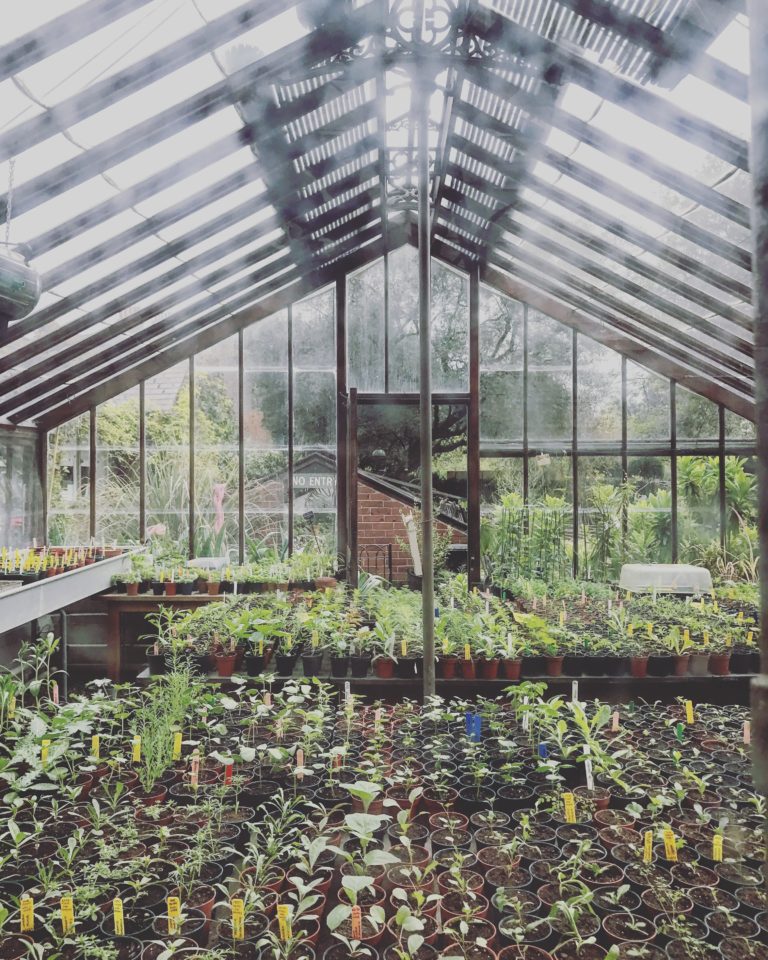 5ftinf | Wednesday…with Greenhouse Textures ( Part 2 )