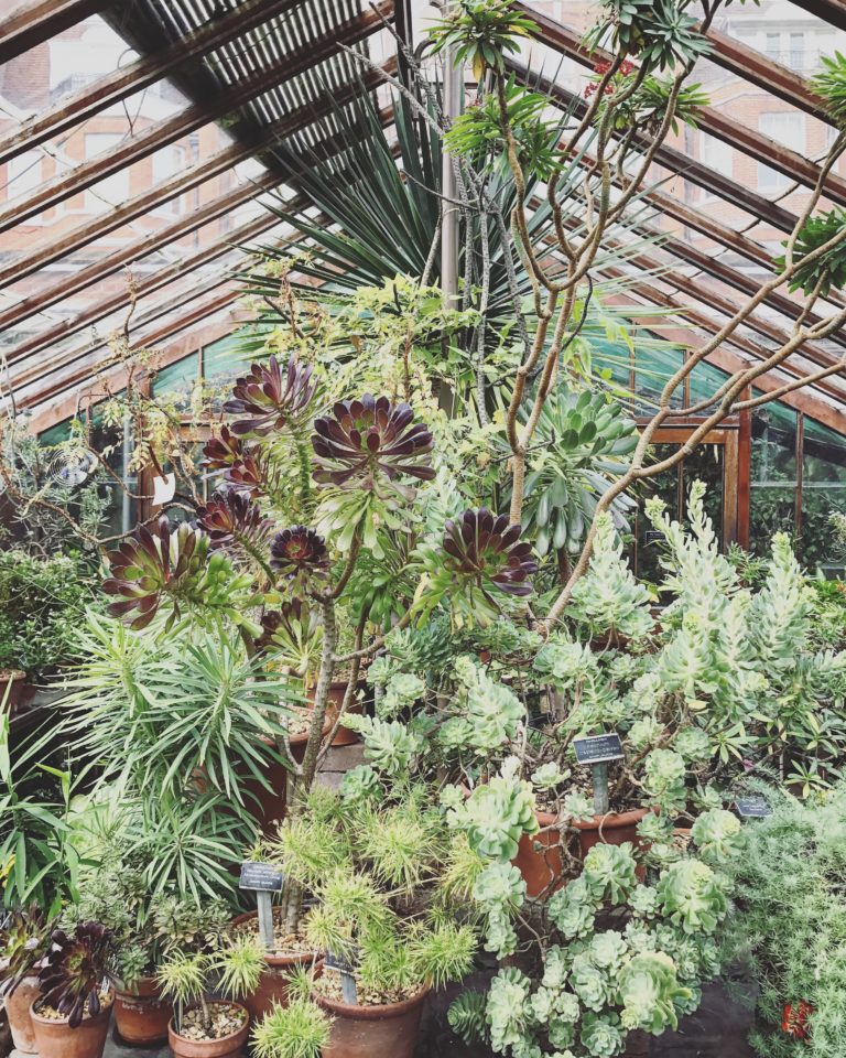 5ftinf | Wednesday…with Greenhouse Textures ( Part 2 )
