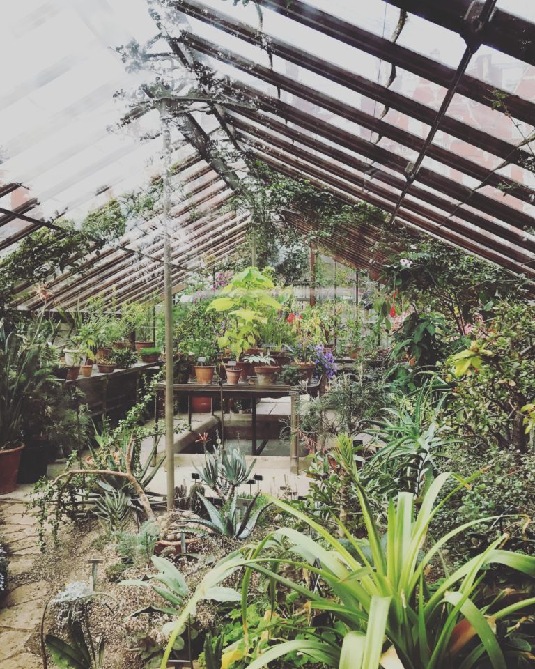 5ftinf | Wednesday…with Greenhouse Textures ( Part 2 )