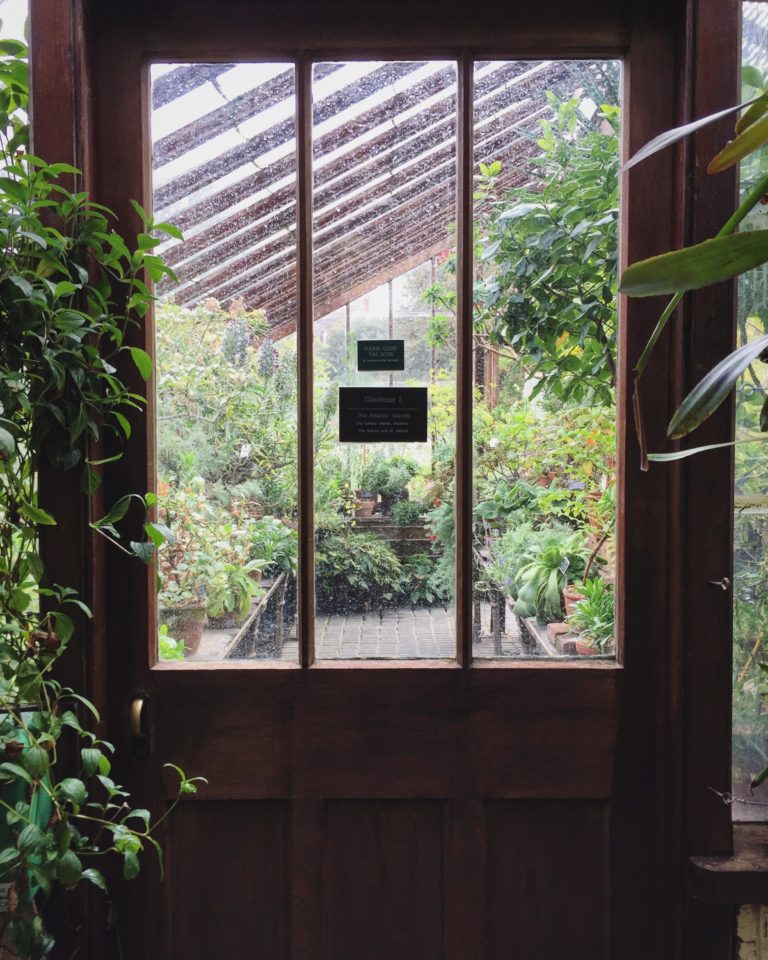5ftinf | Wednesday…with Greenhouse Textures ( Part 2 )