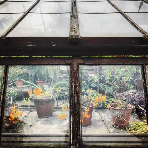 5ftinf | Wednesday…with Greenhouse Textures ( Part 2 )